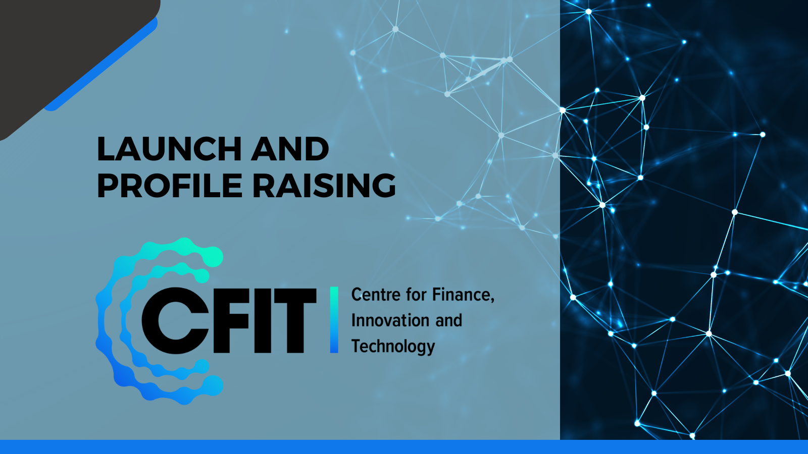 Case Study - CFIT - Streets Consulting